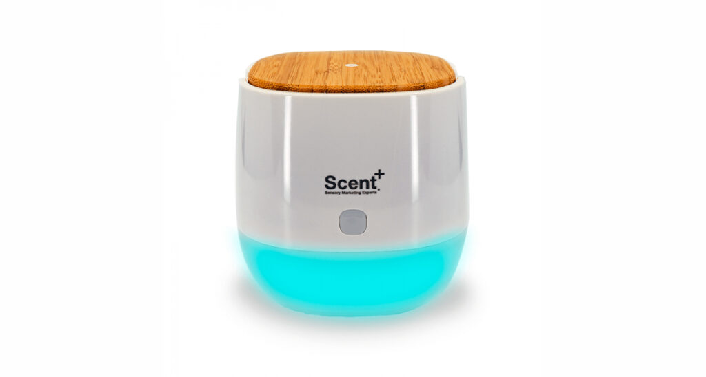 Case Study - Export Angels