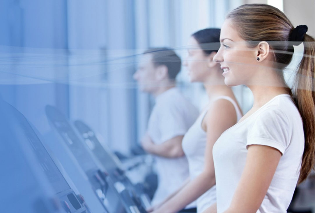 Case Study - Export Angels